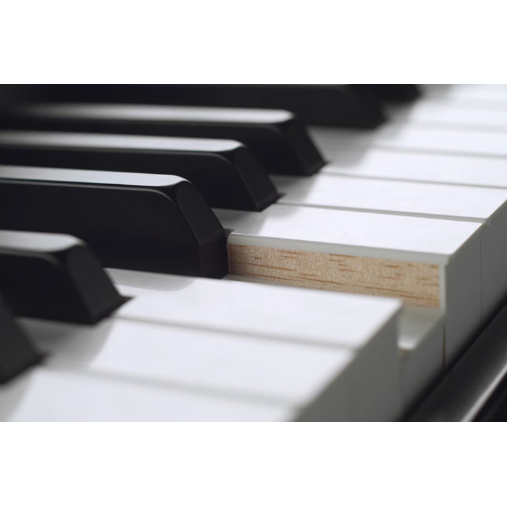 CP1 - Overview - Stage Keyboards - Products - Keyboard Instruments ...